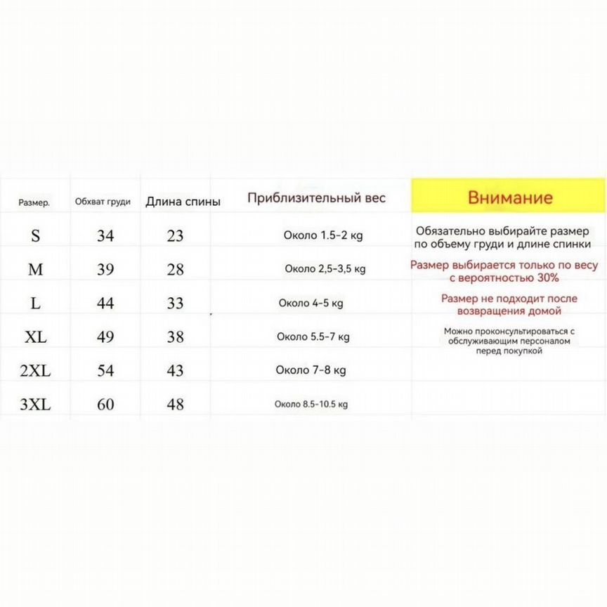 Костюм для маленькой собаки