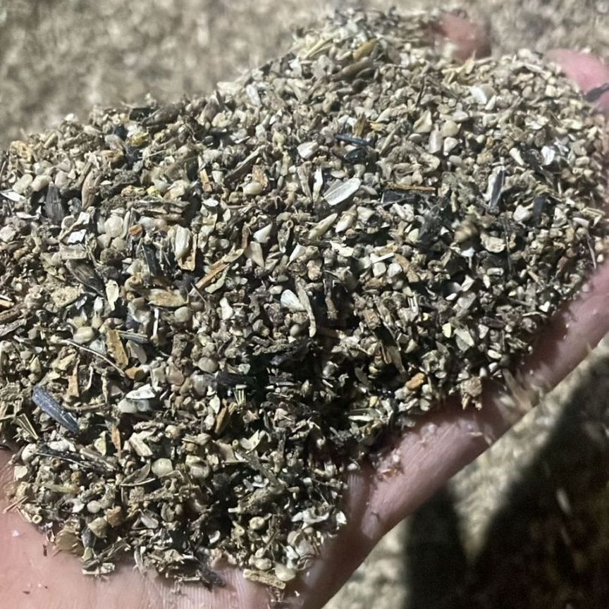 Дробленка подсолнечной семечки ядро