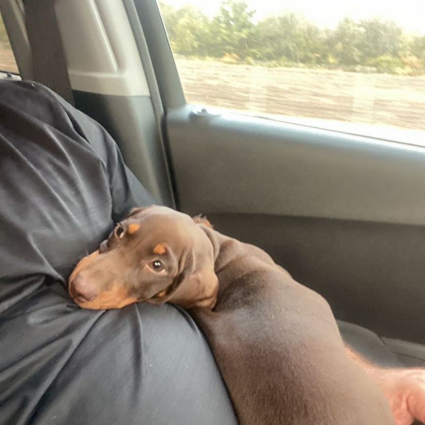 Счастье рядом