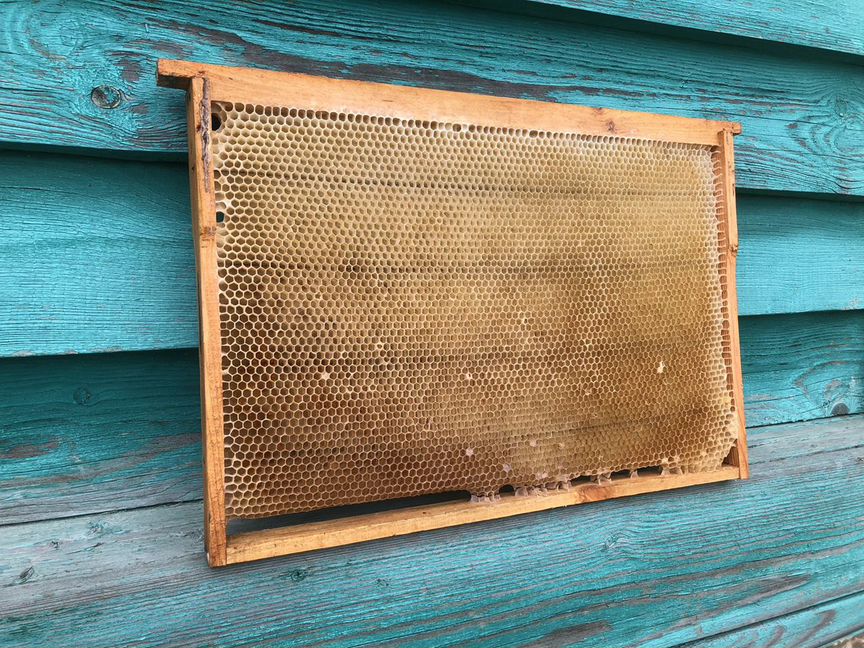 Рамки сушь для ульев