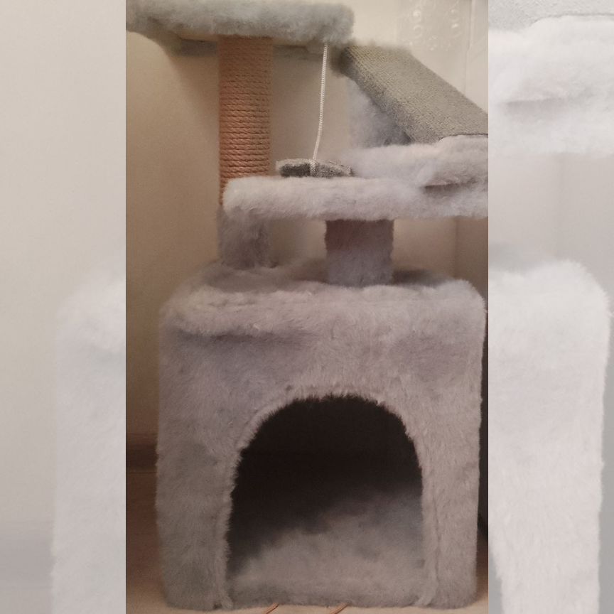 Когтеточка