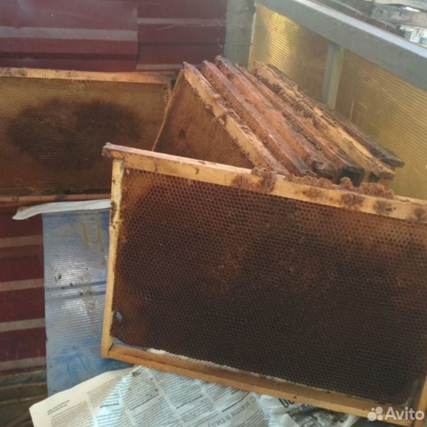 Рамки с вощиной