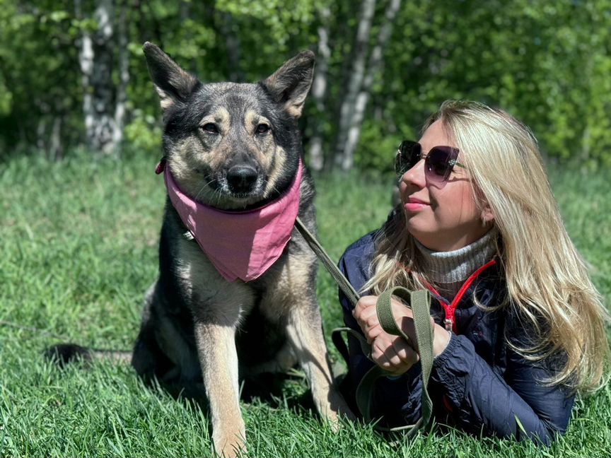 Ариэль ищет дом