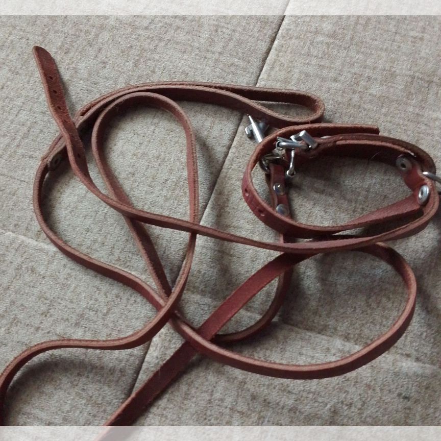 Шлейка для маленькой собаки