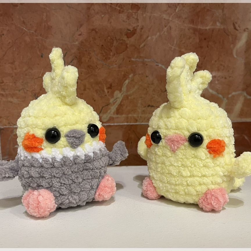 Корелла попугай