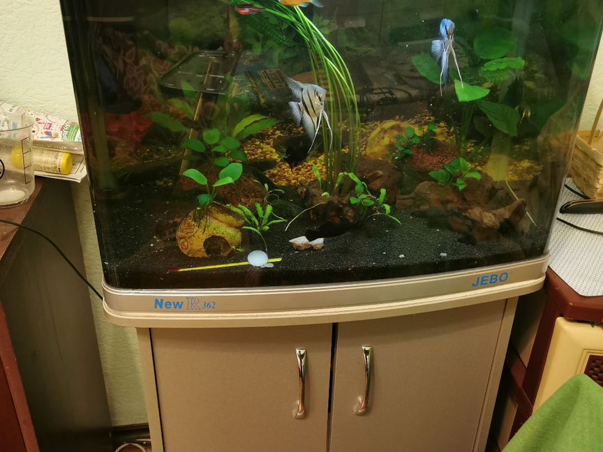 Аквариум с тумбой 96 л с рыбками