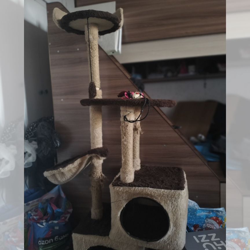 Когтеточка домик для кошки бу