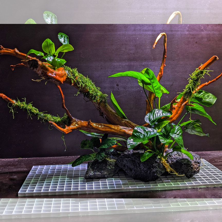 Аквариумная композиция под заказ