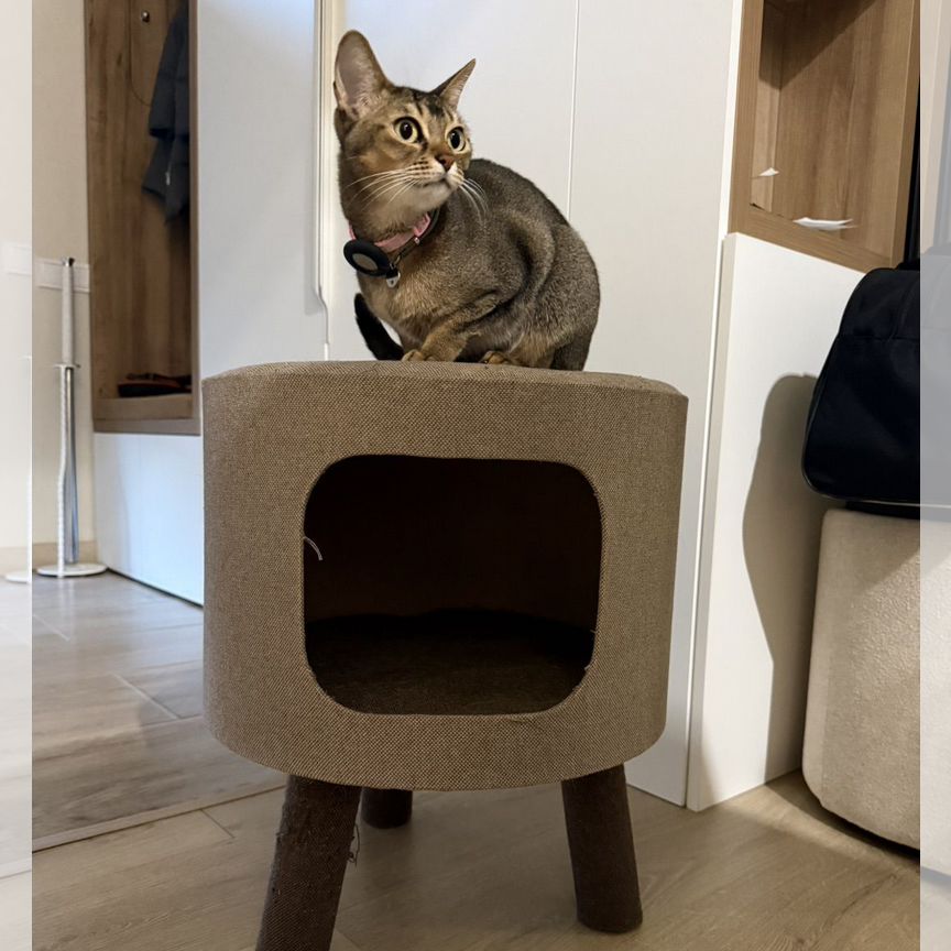 Домик для кошки