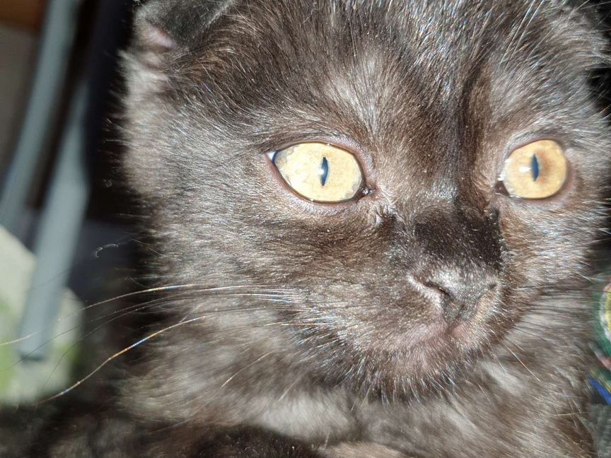 Веслаушка красавица девочка