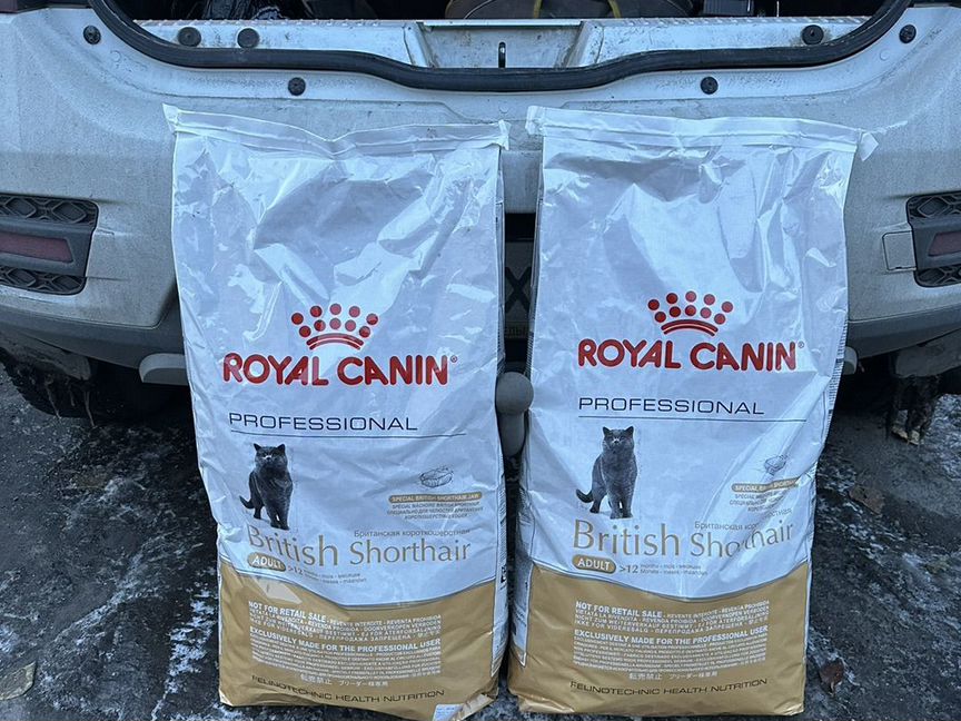 Корм для кошек royal canin British 13 кг