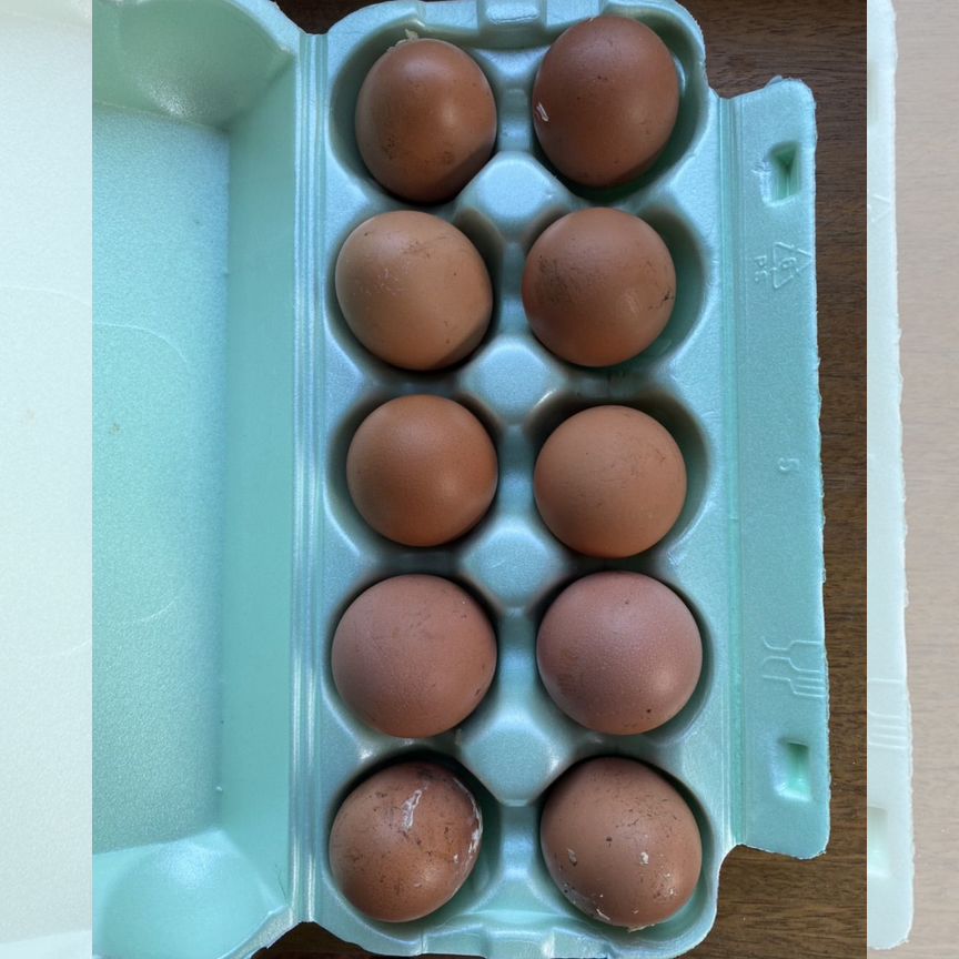 Яйцо куриное