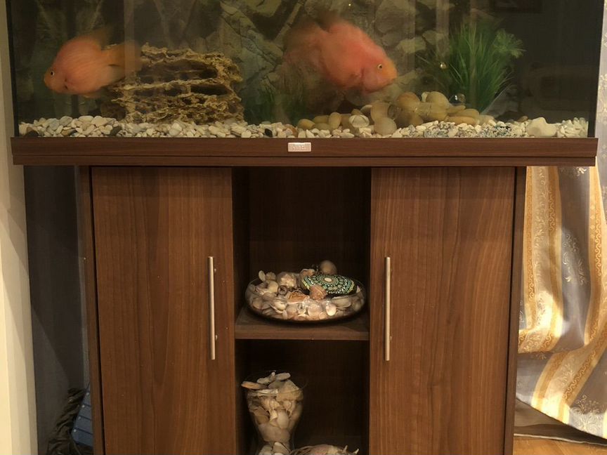 Аквариум Juwel 180л