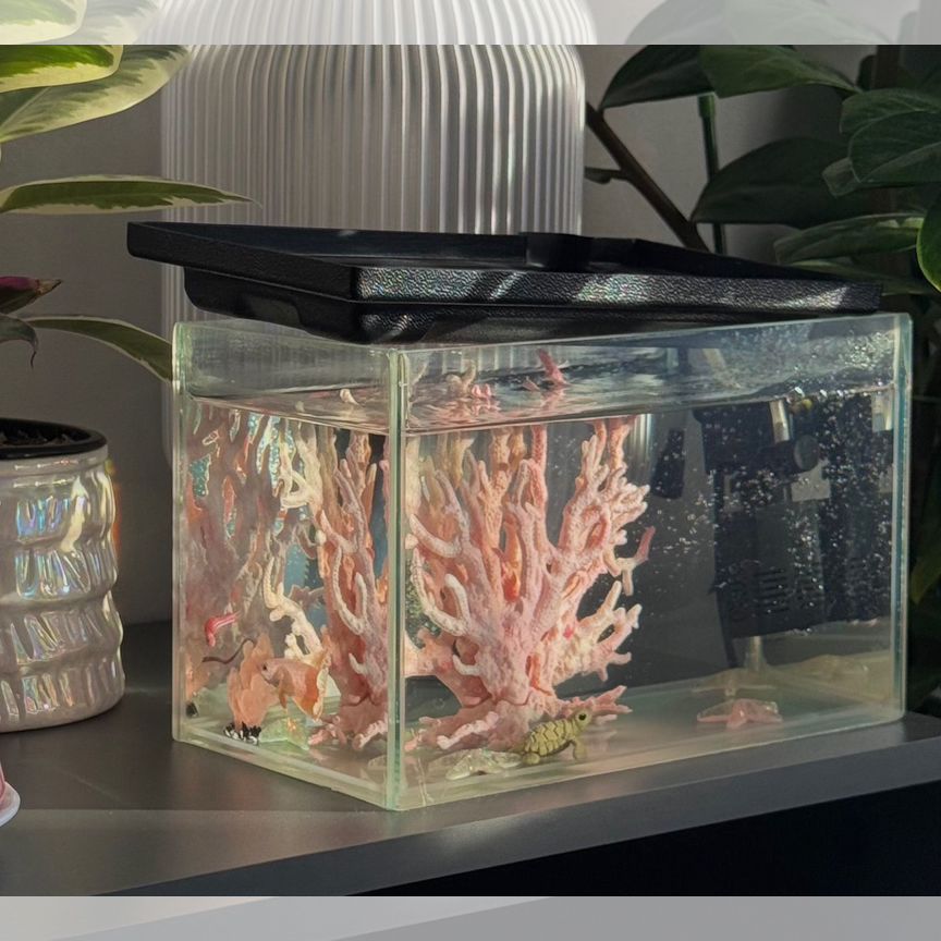 Аквариум с рыбками 5 л петушок и неон