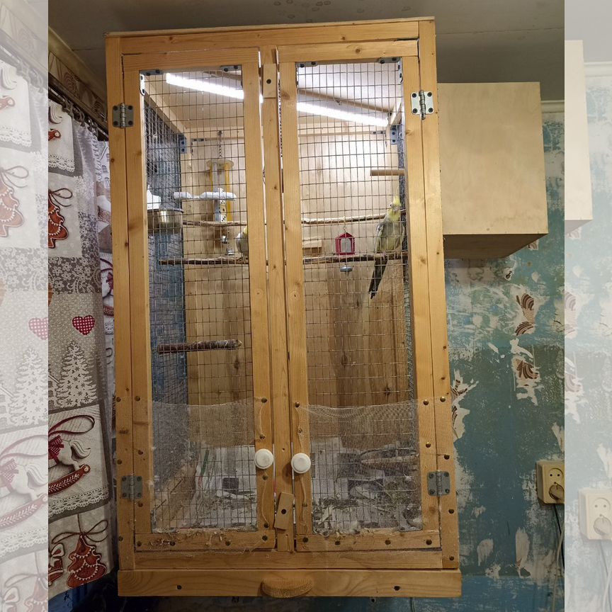 Попугай Корелла большой и клетками