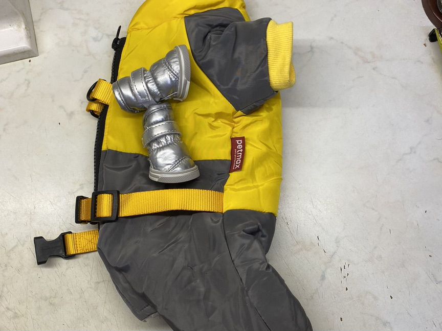 Новый комбинезон и ботинки для собаки Petmax