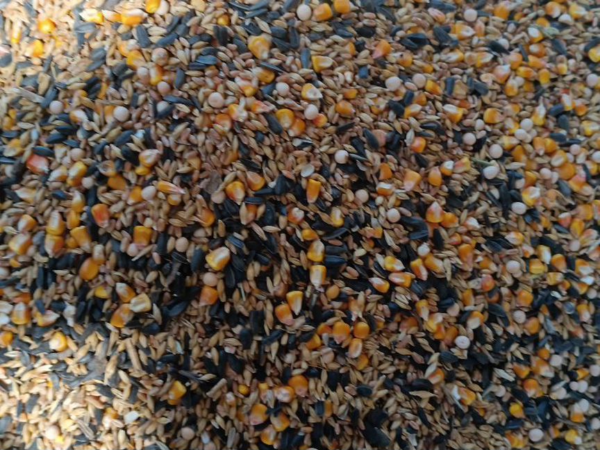 Зерно смесь