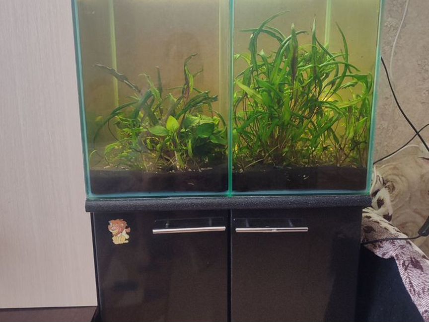 Аквариум с тумбой