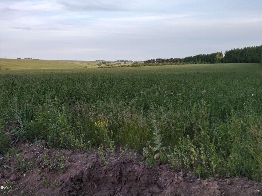 Сено