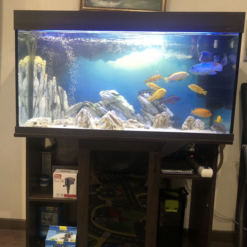 Аквариумный комплекс с тумбой 200 литров