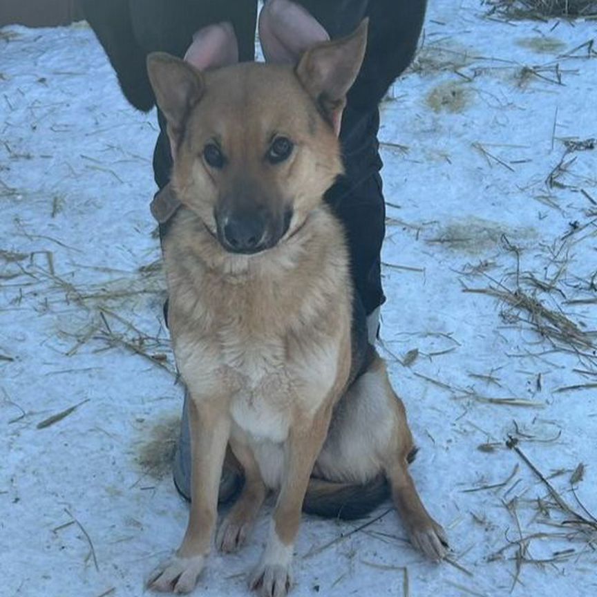 Красотулька девочка