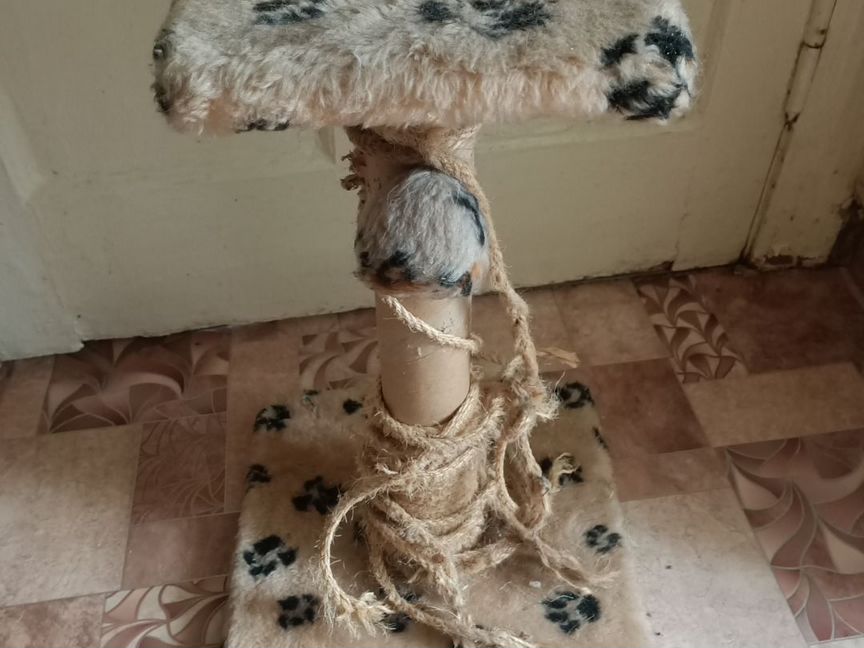 Когтеточка для кошек