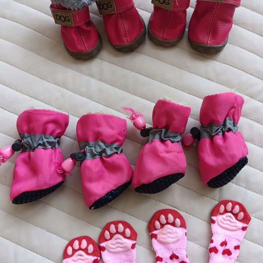 Обувь для йорка