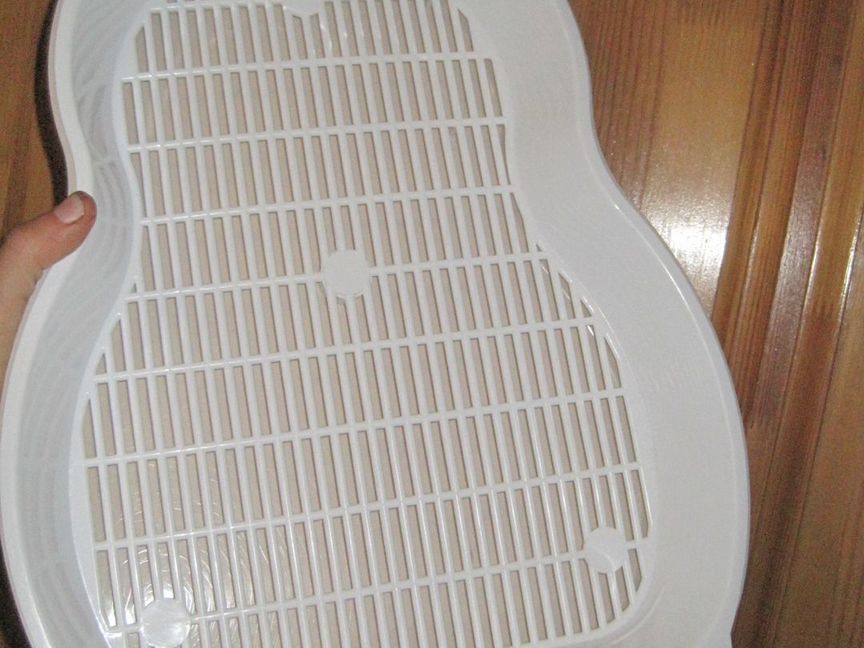 Лоток для кошки