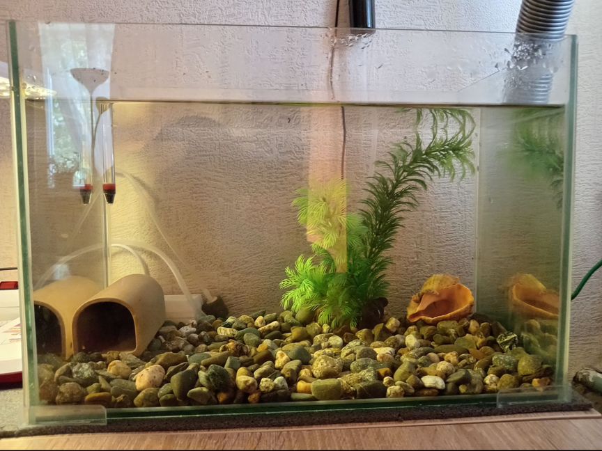 Аквариум 20 литров