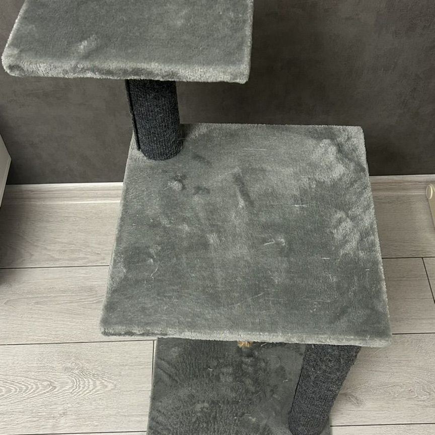 Когтеточка