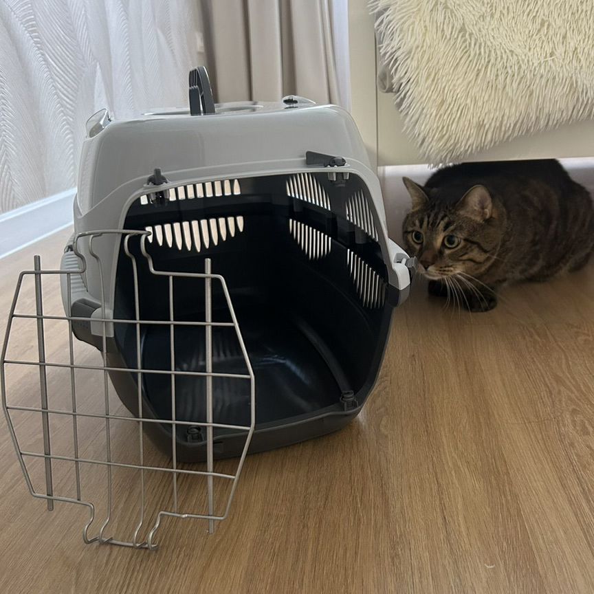 Переноска для кота пластиковая