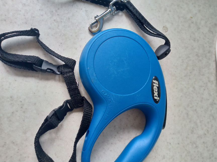 Шлейка и рулетка для хорька