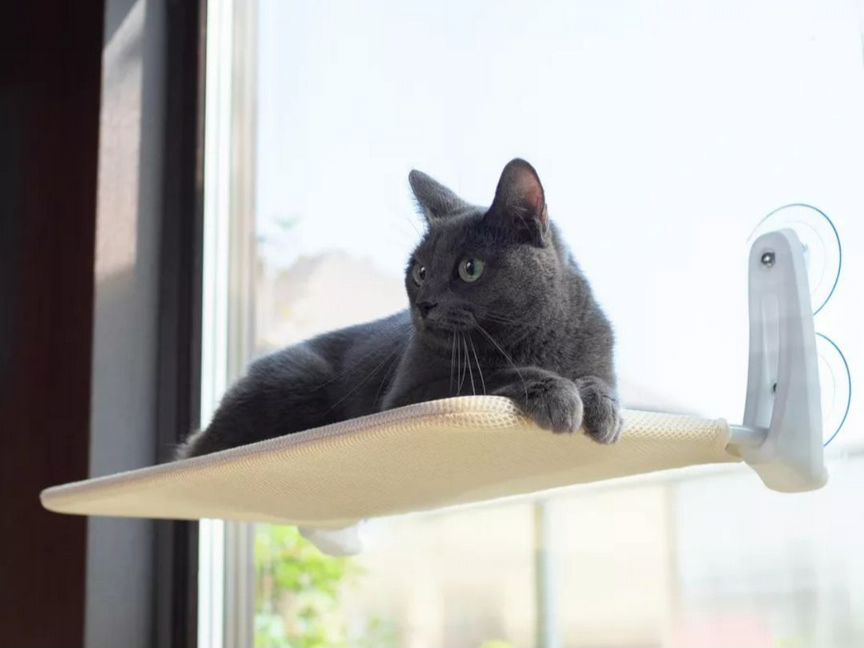 Гамак для кошек