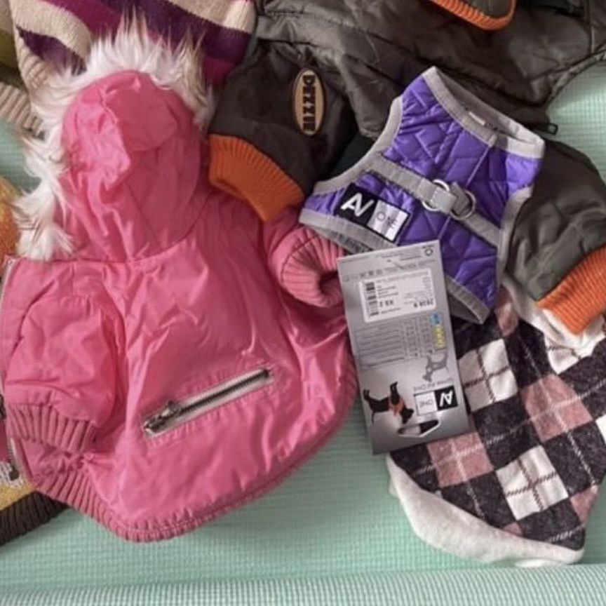 Одежда для собак