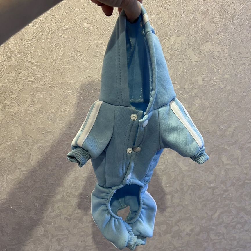 Костюм для собак