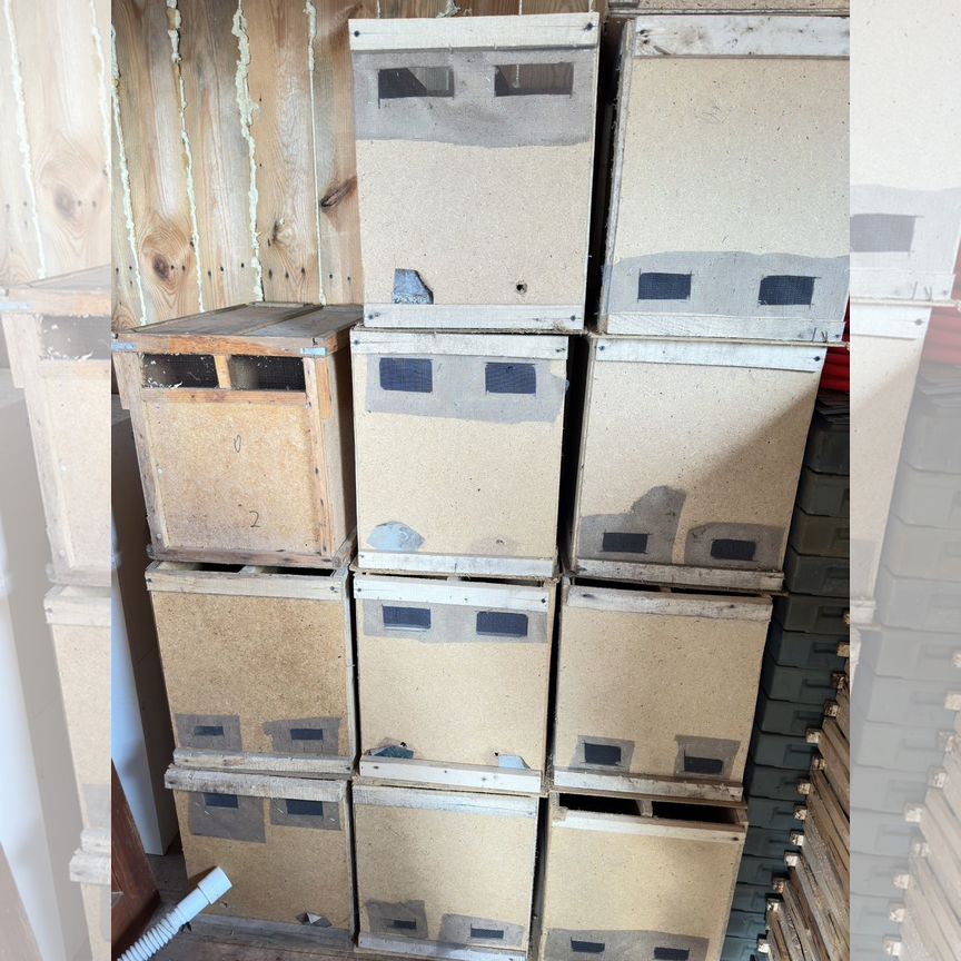 Тара(ящикидля пчелопакетов