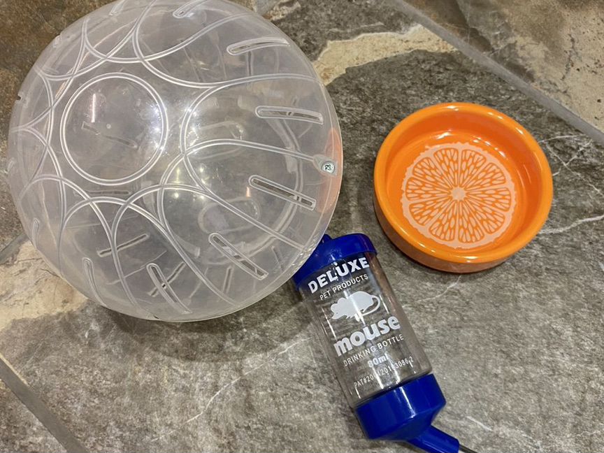 Инвентарь для хомяка