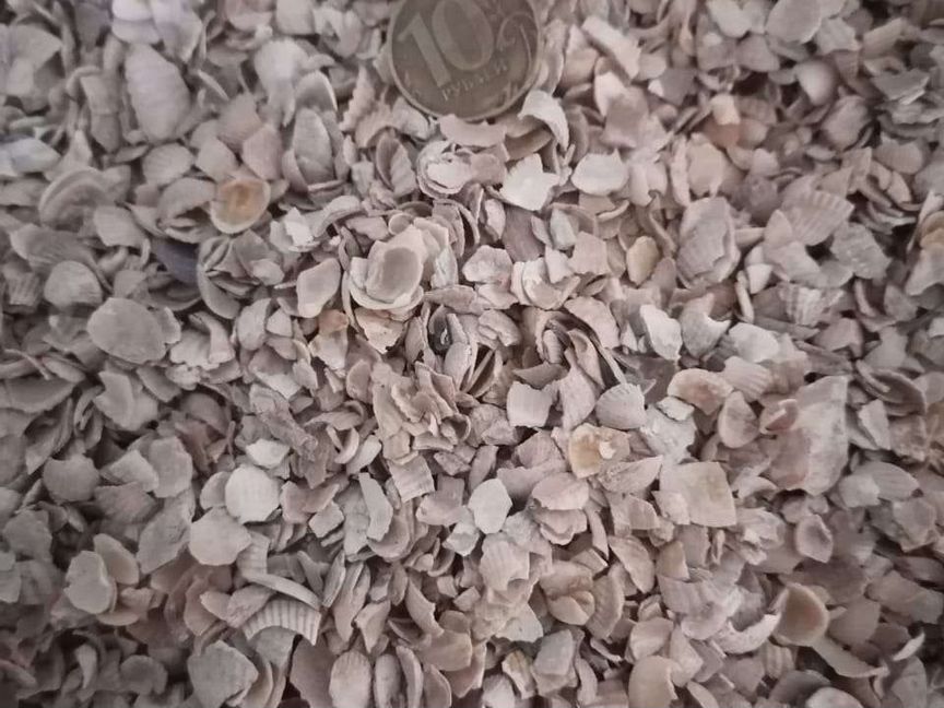 Ракушка кормовая