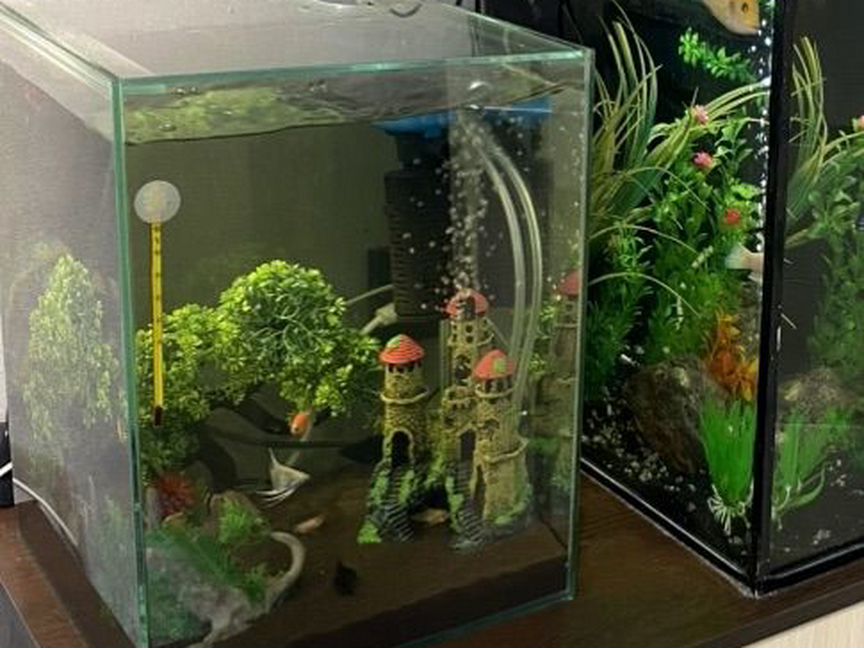 Аквариум 30л