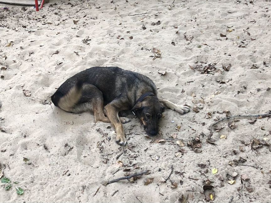 Малышка хочет домой