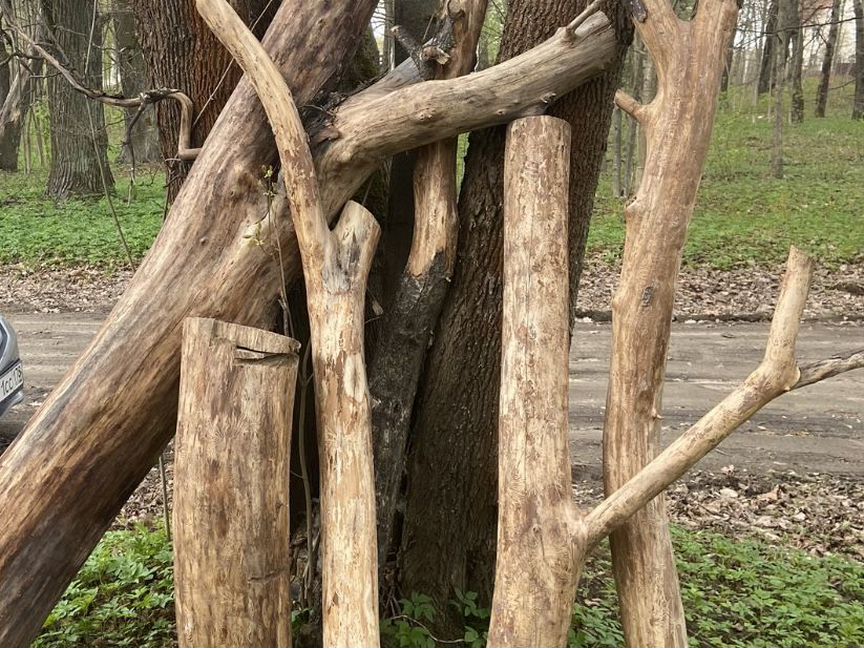 Веточка для декора аквариума