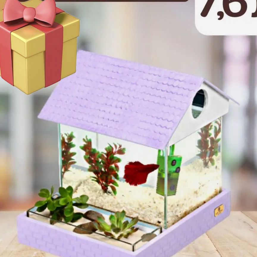 Аквариум бу с рыбками