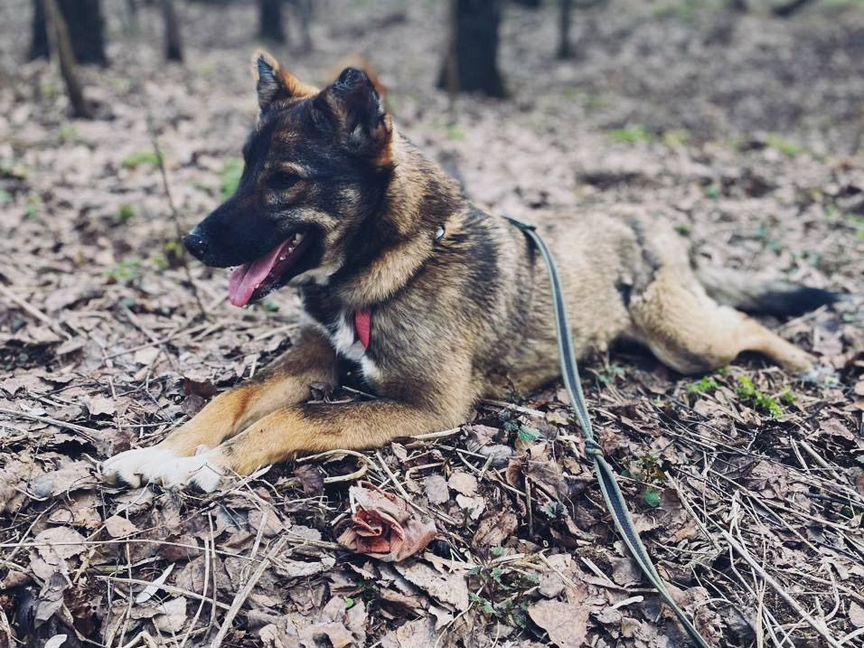 Невероятно тактильная Тиша