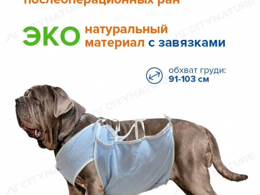 Попона послеоперационная и лежанка