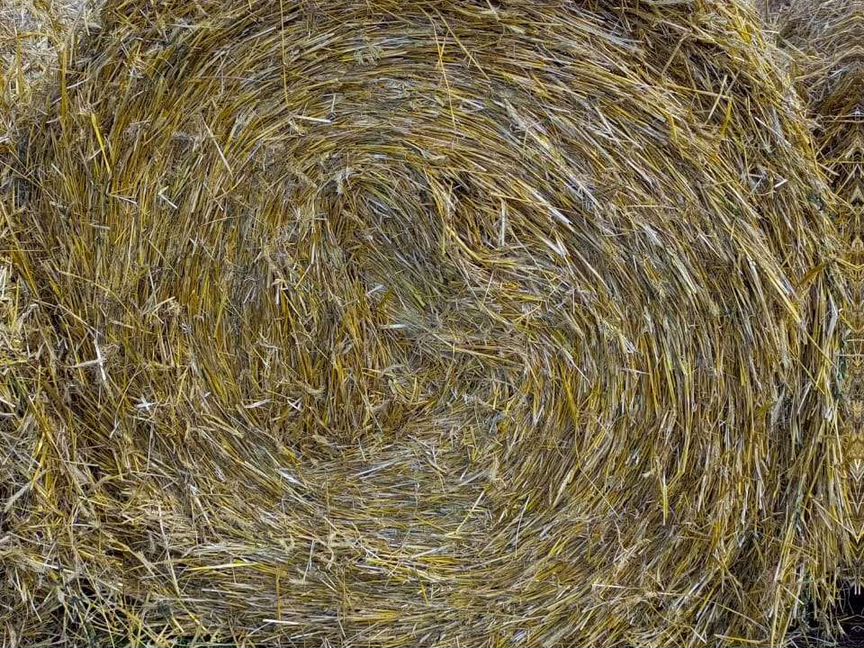 Сено, солома