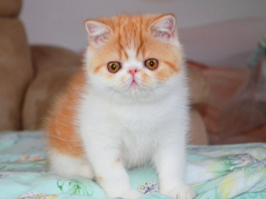 Малыш Итан, 3 месяца