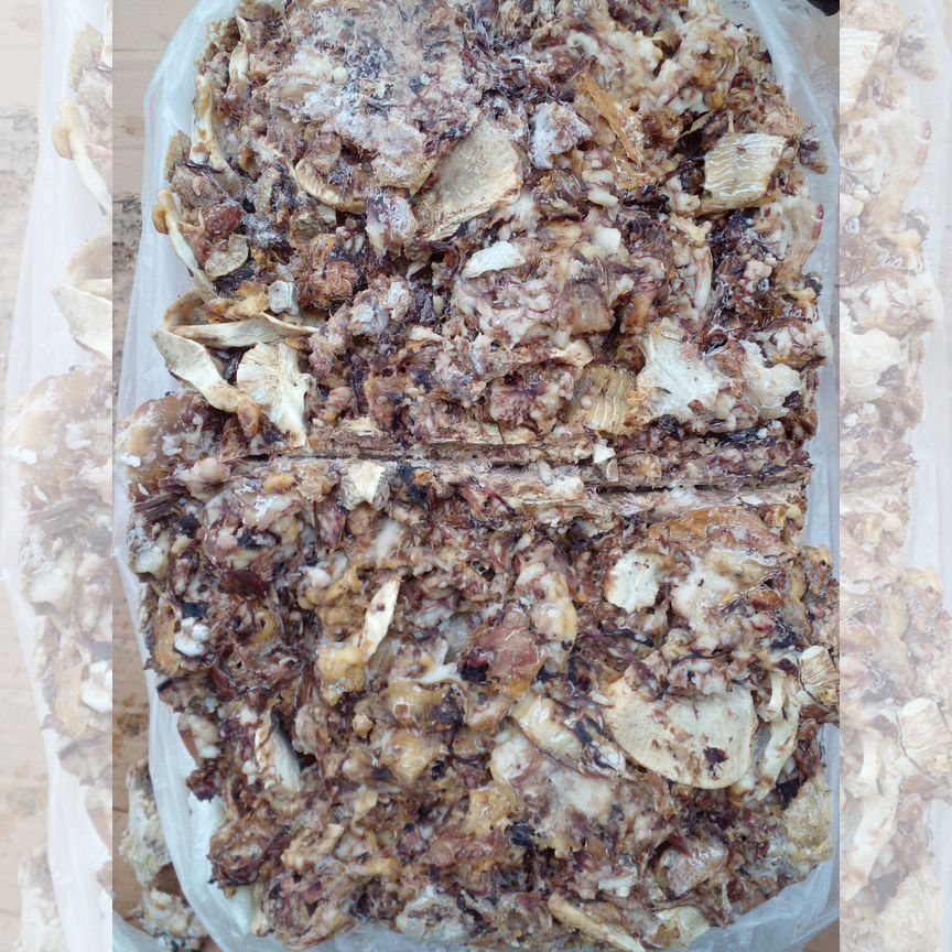 Вареное мясо для собак