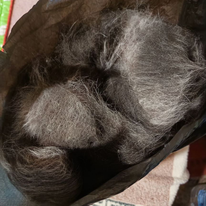 Собачья шерсть