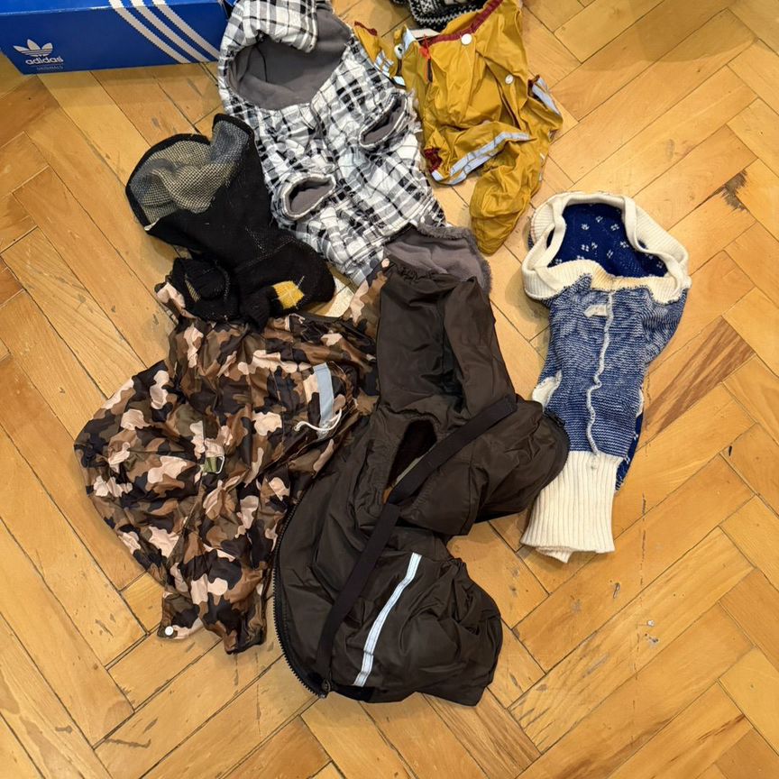 Одежда для собак (пакетом)