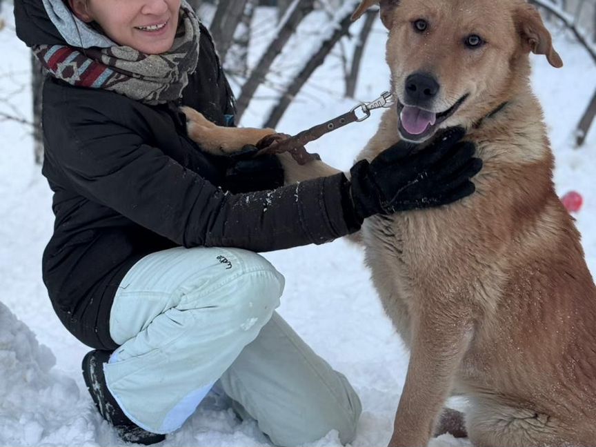 Ланселот ждет своего человека
